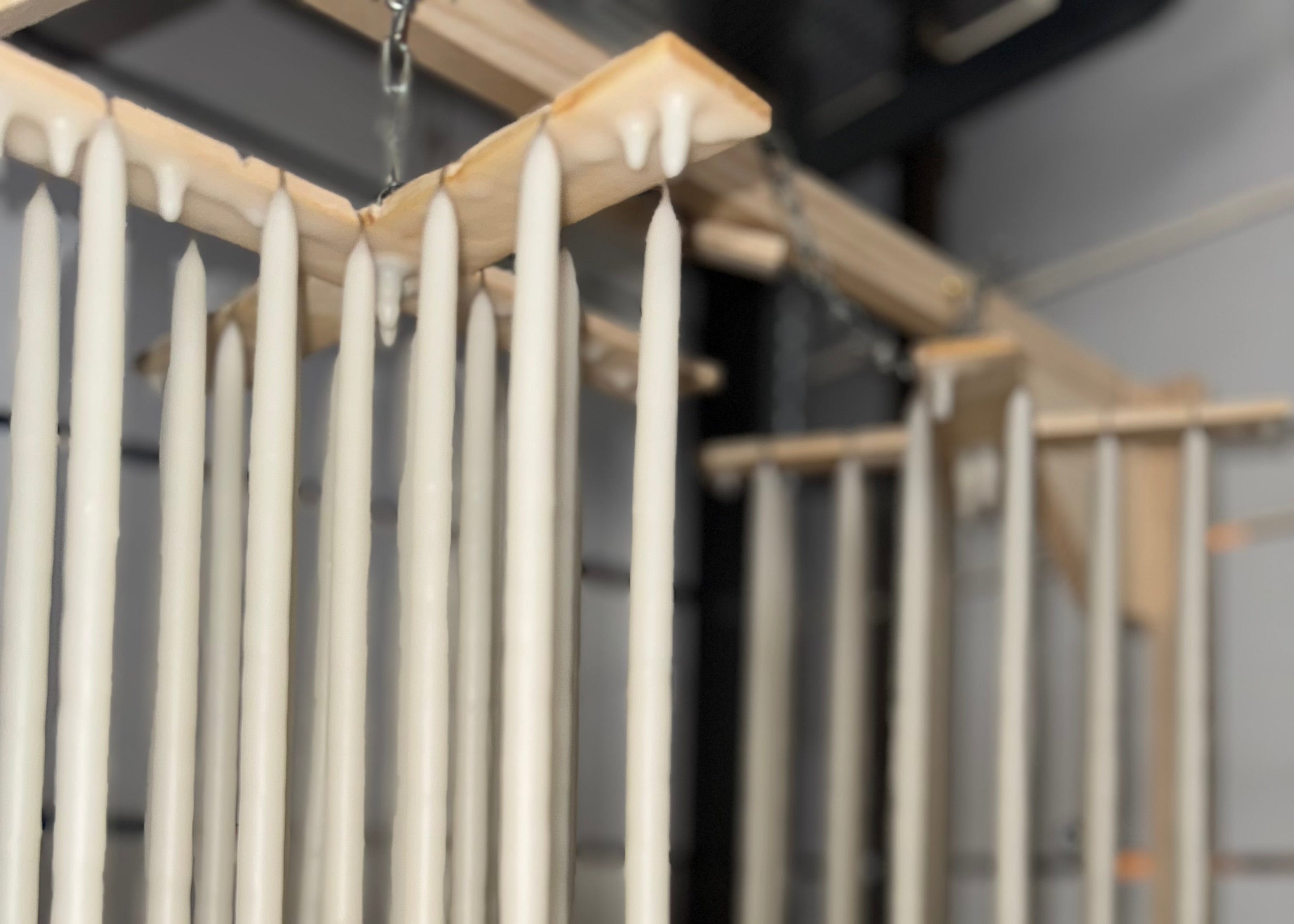 PIG BLOCK – The PIG BLOCK